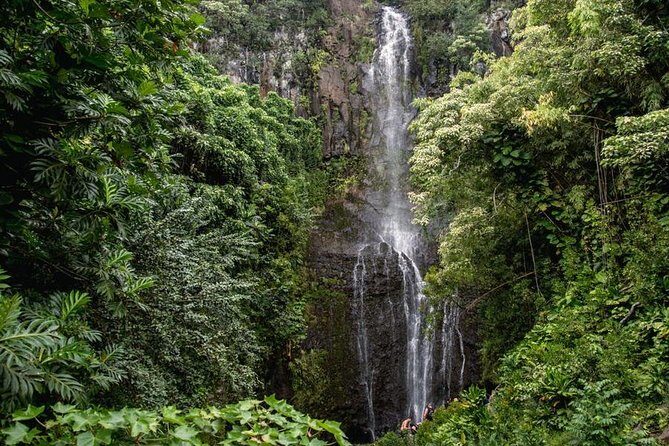 Private Hana Waterfalls Tour - A Deep Dive into the Hana Waterfalls Private Tour
