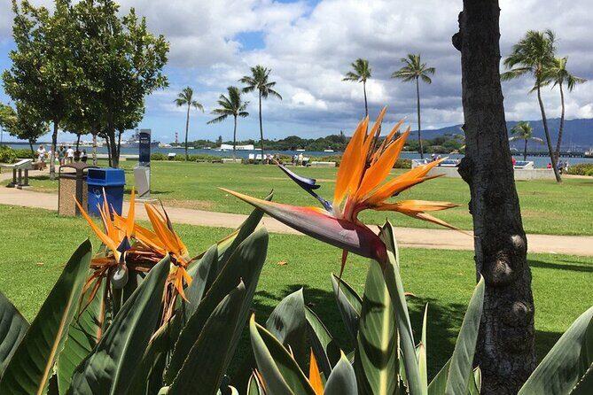 Private Hawaii Pearl Harbor Tours and North Shore (up to 12 people ) - An In-Depth Look at the Tour Experience