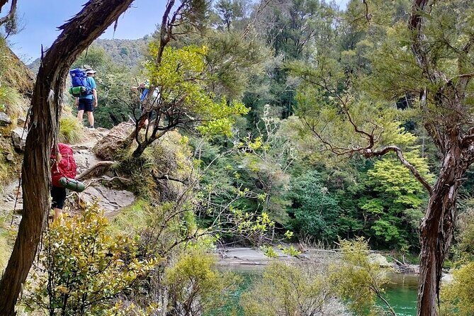 Private Hawkes Bay Geothermal Hot Pools Hike - Transportation, Group Size, and Flexibility