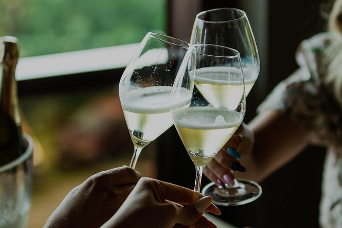 Private hedonistic food and wine experience from Zagreb - Who Will Love This Tour?