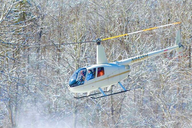 Private Helicopter Lookout Mountain Tour from Chattanooga - Who Will Enjoy This Tour?