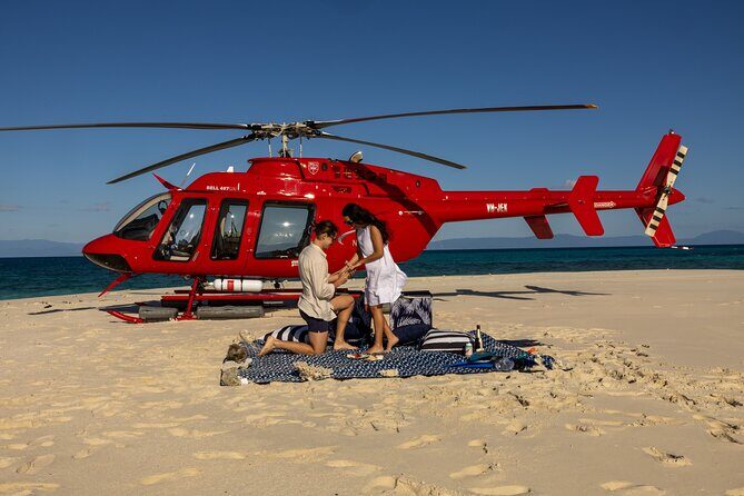 Private Helicopter Tour: Reef Island Snorkeling and Gourmet Picnic Lunch - An In-Depth Look at the Tour
