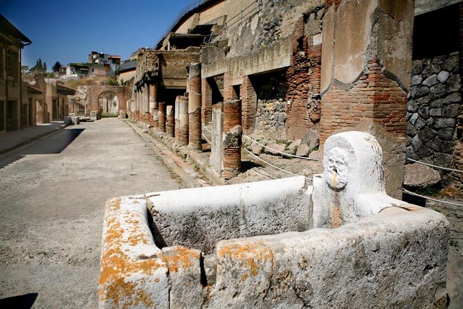 Private Herculaneum Guided Tour from Sorrento - Discover the Hidden Charm of Herculaneum: A Detailed Review of the Private Guided Tour from Sorrento