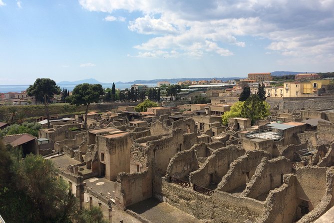 Private Herculaneum Guided Tour with an Archeologist - Why It’s a Worthwhile Tour