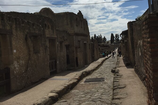 Private Herculaneum Tour for Kids and Families - FAQ