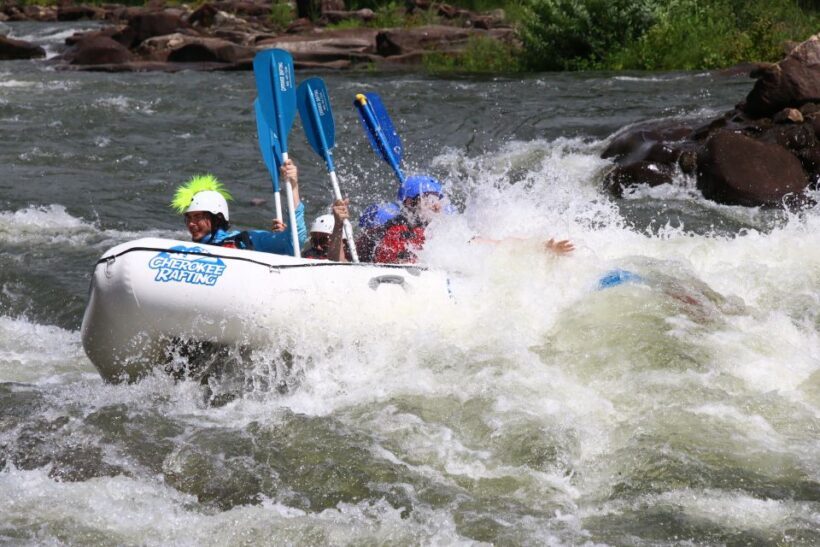 Private / High Adventure Whitewater Rafting Trip - Why This Tour Might Be Perfect for You