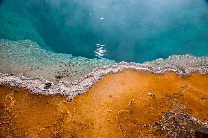 Private Highlight's Tour of Yellowstone National Park - Key Points