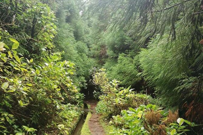 Private hike along the Levada - FAQs
