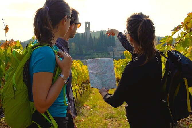 Private Hike and Wine Experiences in Chianti - Authentic Reviews: What Past Participants Say