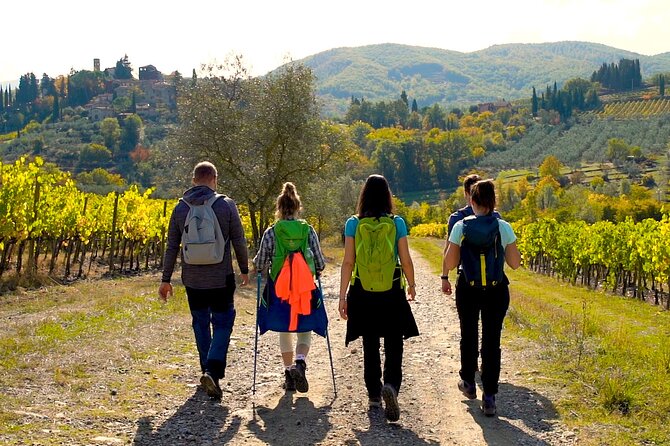 Private Hike and Wine Experiences in Chianti - The Practical Side: What to Know