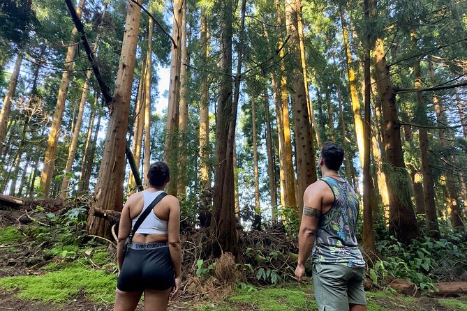 Private Hike - Discover São Miguels Craters, Lakes & Waterfalls - FAQs