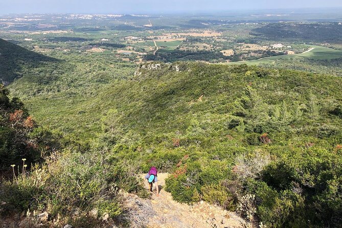 Private Hiking Adventure at Arrábida Mountain - Who Is This Tour Best For?