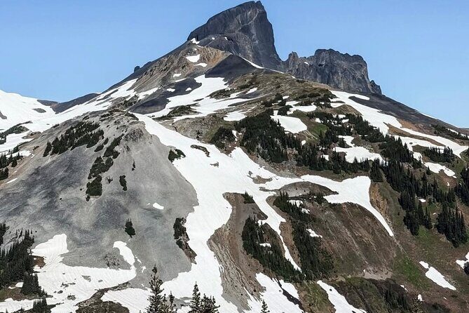 Private Hiking Day Tour of Garibaldi Lake Panorama Ridge - An In-Depth Look at the Tour