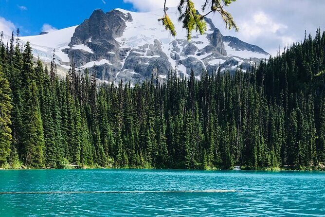 Private Hiking Day tour of Joffre Lakes Park - An Introduction to the Joffre Lakes Experience