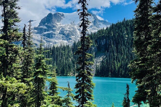 Private Hiking Day tour of Joffre Lakes Park - Who Should Consider This Tour?