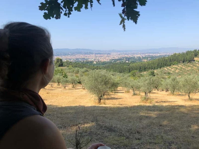 Private Hiking Florence Tour with Wine and Lunch or semi-pri - Who Should Consider This Tour?