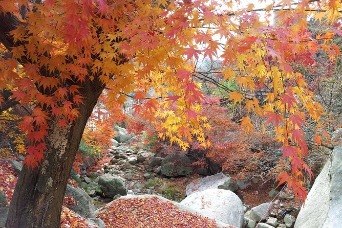 Private Hiking to Bukhansan & Korean Style Spa(Include Lunch) - FAQ