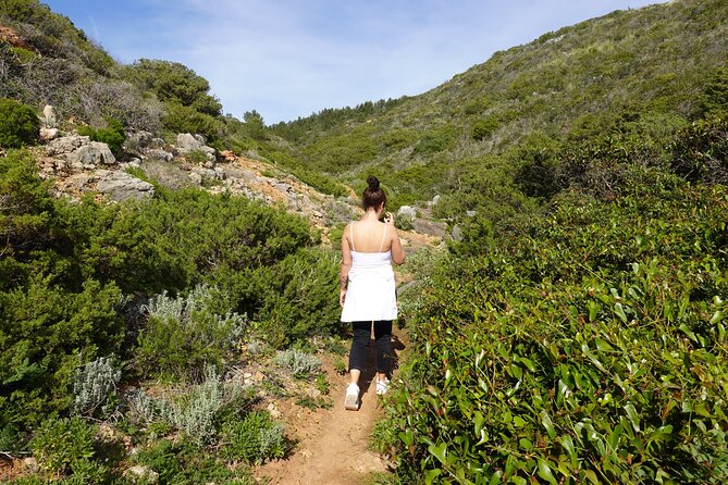 Private Hiking Tour along the last wild side of the south coast - FAQ