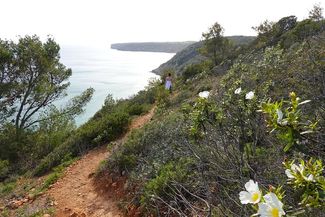 Private Hiking Tour along the last wild side of the south coast - Final Takeaway