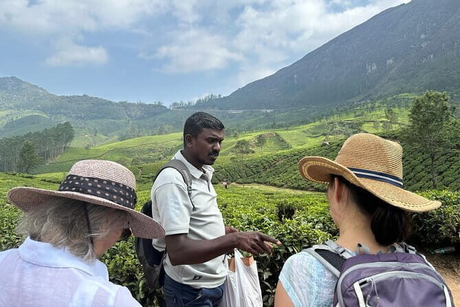 Private Hiking Tour from Cochin with Overnight Stay at Munnar - In-Depth Look at the Tour Experience