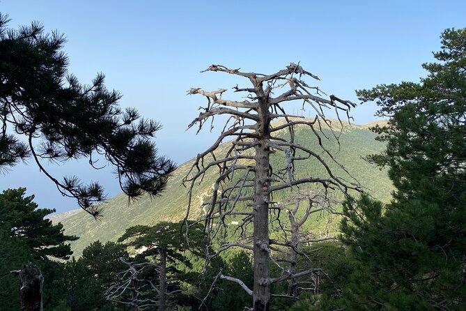 Private Hiking Tour in Çika Mountain - Health and Safety Information