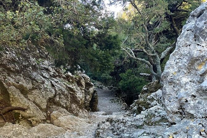 Private Hiking Tour in Imbros Gorge (Chania) - Practical Details and Why They Matter