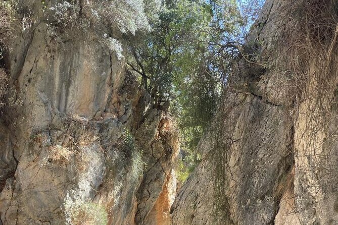 Private Hiking Tour in Imbros Gorge (Chania) - Who Would Love This Tour?