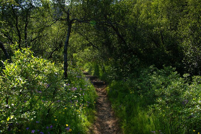Private Hiking Tour in the Valley of Thórsmörk - Who Will Love This Experience?