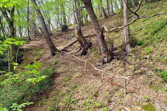 Private Hiking Tour to Machakhela National Park From Batumi - Frequently Asked Questions