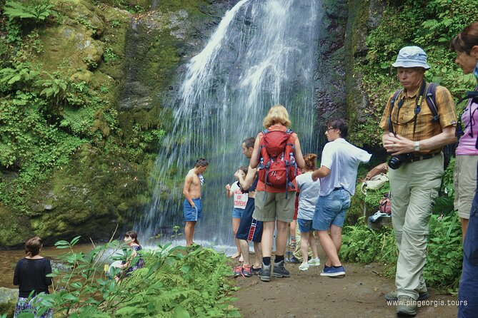 Private Hiking Tour to Mtirala National Park From Batumi - Traveler Reviews
