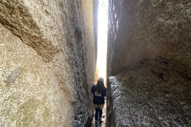 Private Hiking Tour to View Mt. Fuji - Tour Experience