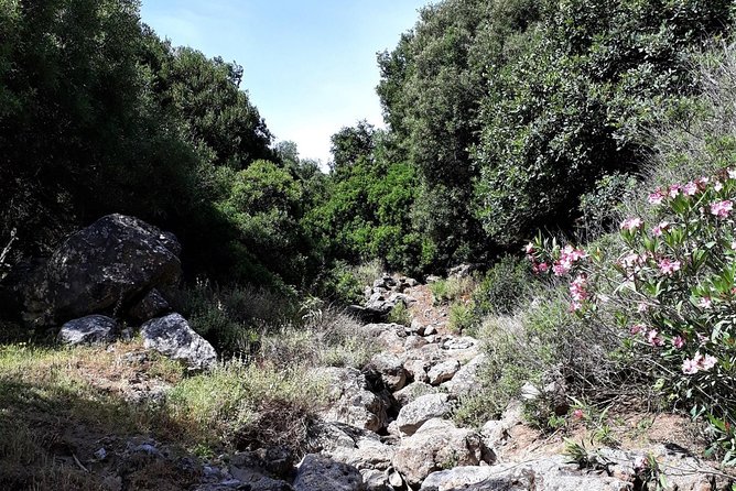 PRIVATE Hiking Walking GORGE Nearby Hersonissos CRETE - Meet Your Local Guide
