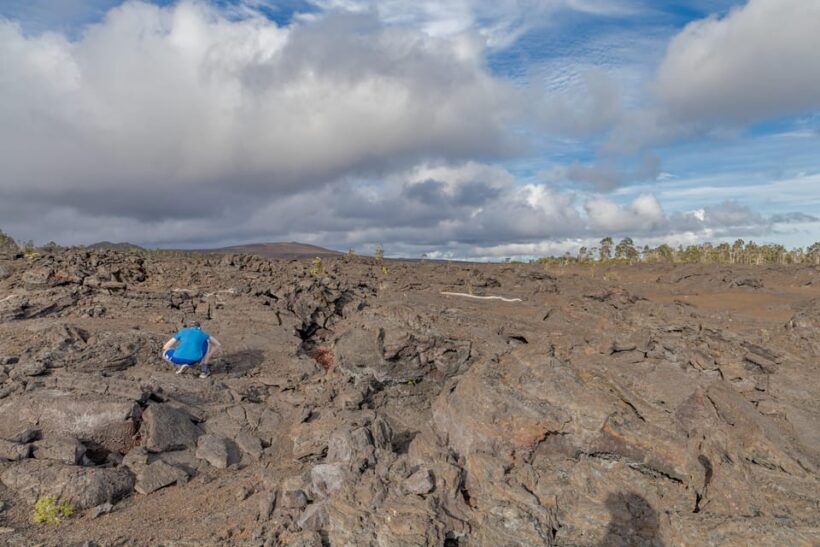 Private Hilo Cruise Special - Waterfalls and Volcanoes - Why This Tour Is a Good Deal for the Right Traveler