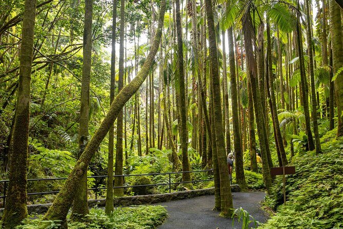 Private Hilo Shore Excursion - Botanical Gardens & Waterfalls - FAQ