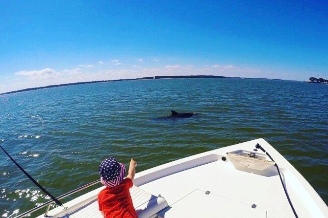 Private Hilton Head Dolphin Tour - Who This Tour Is Perfect For