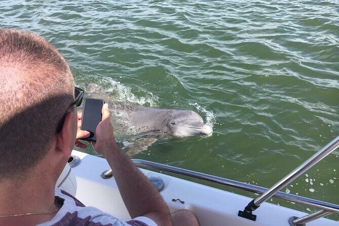 Private Hilton Head Dolphin Tour with Waterfront Dining Stop - Practical Tips for Booking and Enjoying