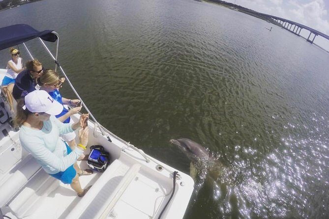 Private Hilton Head Sunset Dolphin Tour - Why You’ll Love the Hilton Head Sunset Dolphin Tour