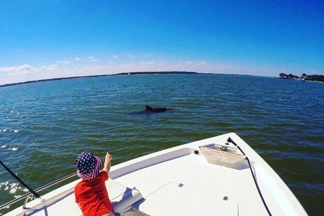 Private Hilton Head Sunset Dolphin Tour - Final Thoughts: Who Is This Tour Perfect For?