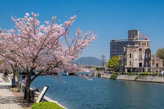Private Hiroshima Cherry Blossom and Sakura Experience - Guided Walking Tour With a Local Expert