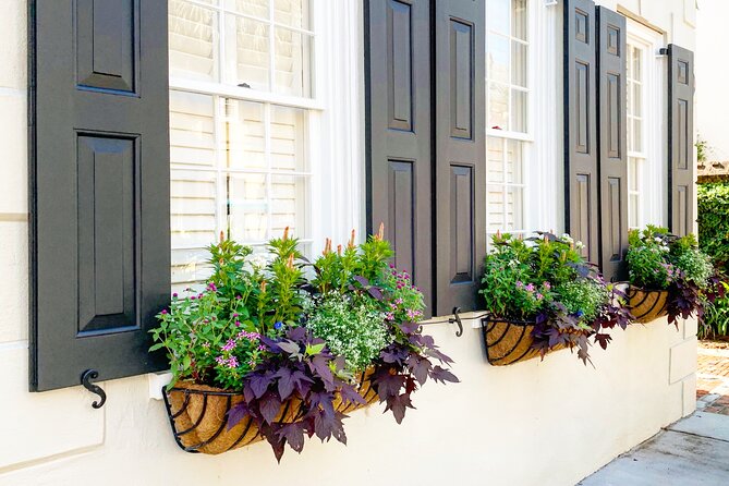 Private Historic Horse & Carriage Tour of Charleston - Traveler Feedback