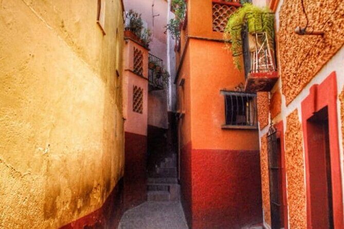 Private History & City Walking Tour of Guanajuato - The Experience: What Travelers Can Expect