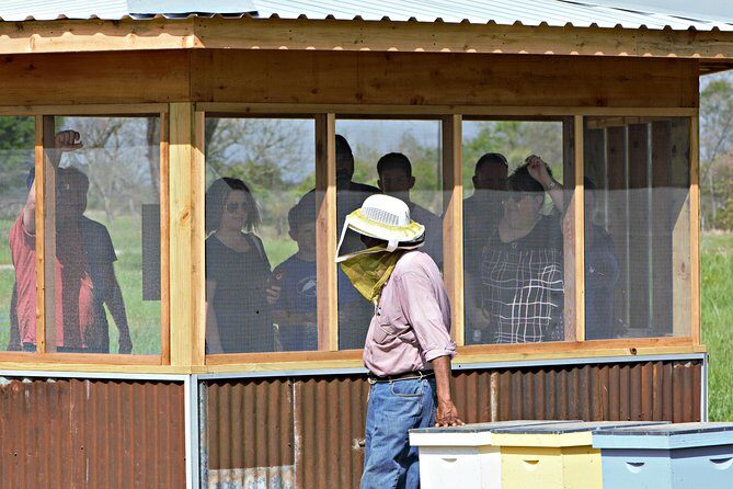 Private Hive Tour - The Experience at a Glance
