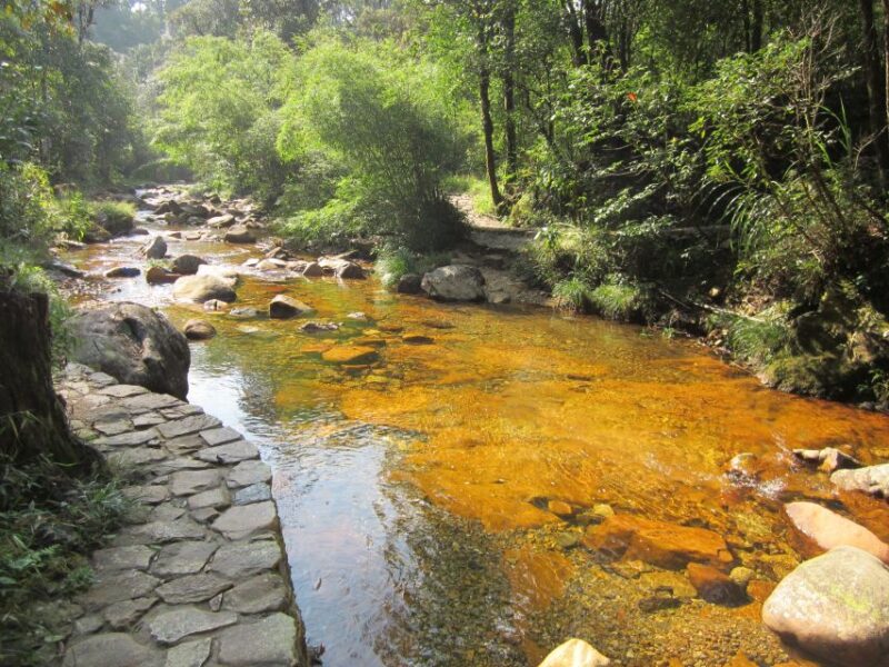 Private Hoang Lien National Park & Tribal Village Trek - What to Bring and Wear