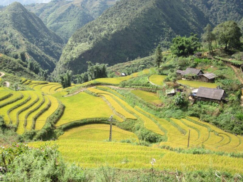 Private Hoang Lien National Park & Tribal Village Trek - The Sum Up: Why This Tour Offers Good Value