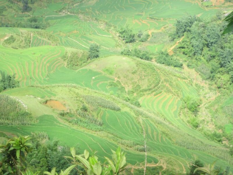 Private Hoang Lien National Park & Tribal Village Trek - FAQ