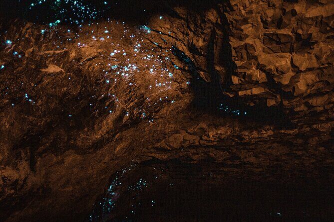 Private Hobbiton & Waitomo glowworm cave Day Trip from Auckland - An In-Depth Look at the Tour Experience