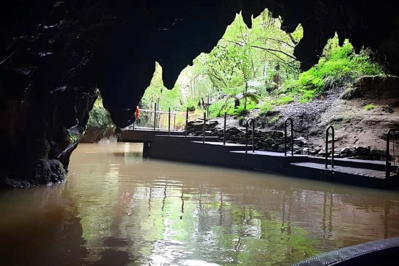 Private Hobbiton & Waitomo glowworm cave Day Trip - The Logistics: Comfort, Flexibility, and Value