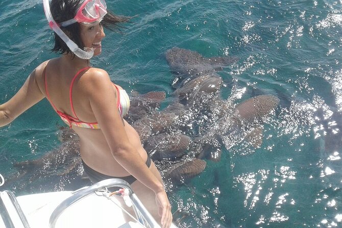 Private Hol Chan Morning or Sunset Half Day Charter - Overview of the Private Charter