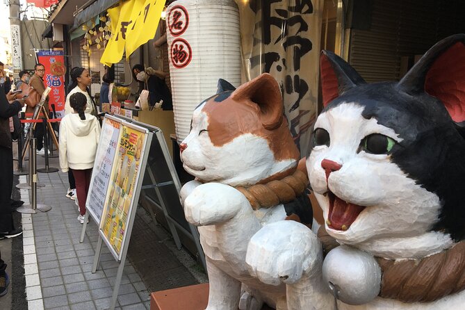 Private Home Visit Style Tour in Yanaka With Local Experience - Key Points