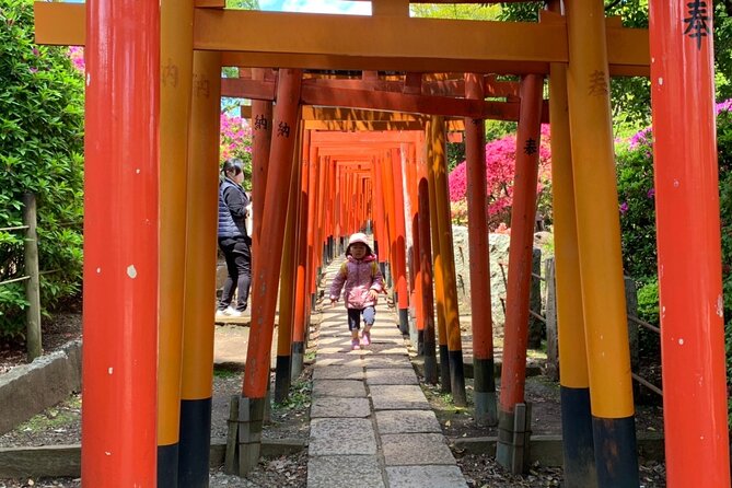 Private Home Visit Style Tour in Yanaka With Local Experience - About the Tour Operator